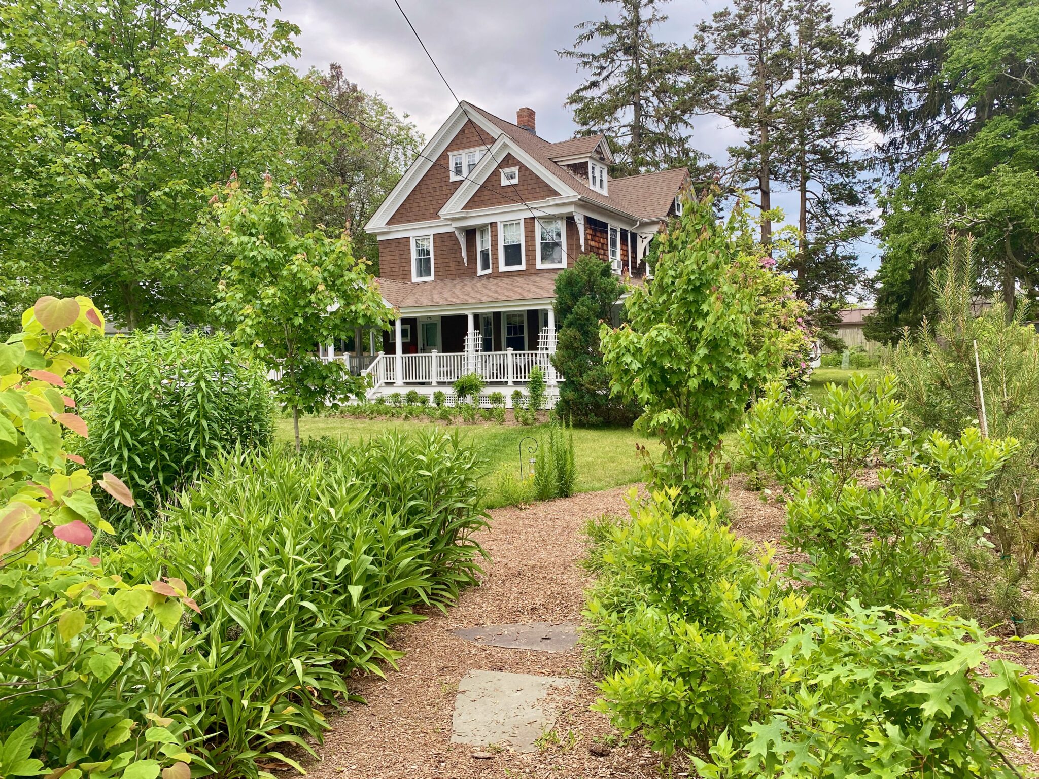 Going Native - The Long Island Conservancy