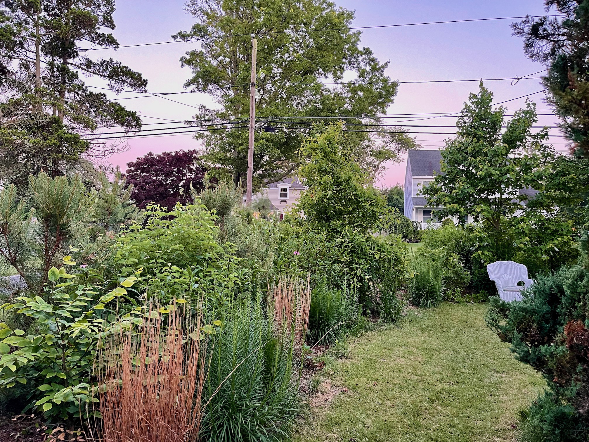 The Right To Native Plants – The Long Island Conservancy