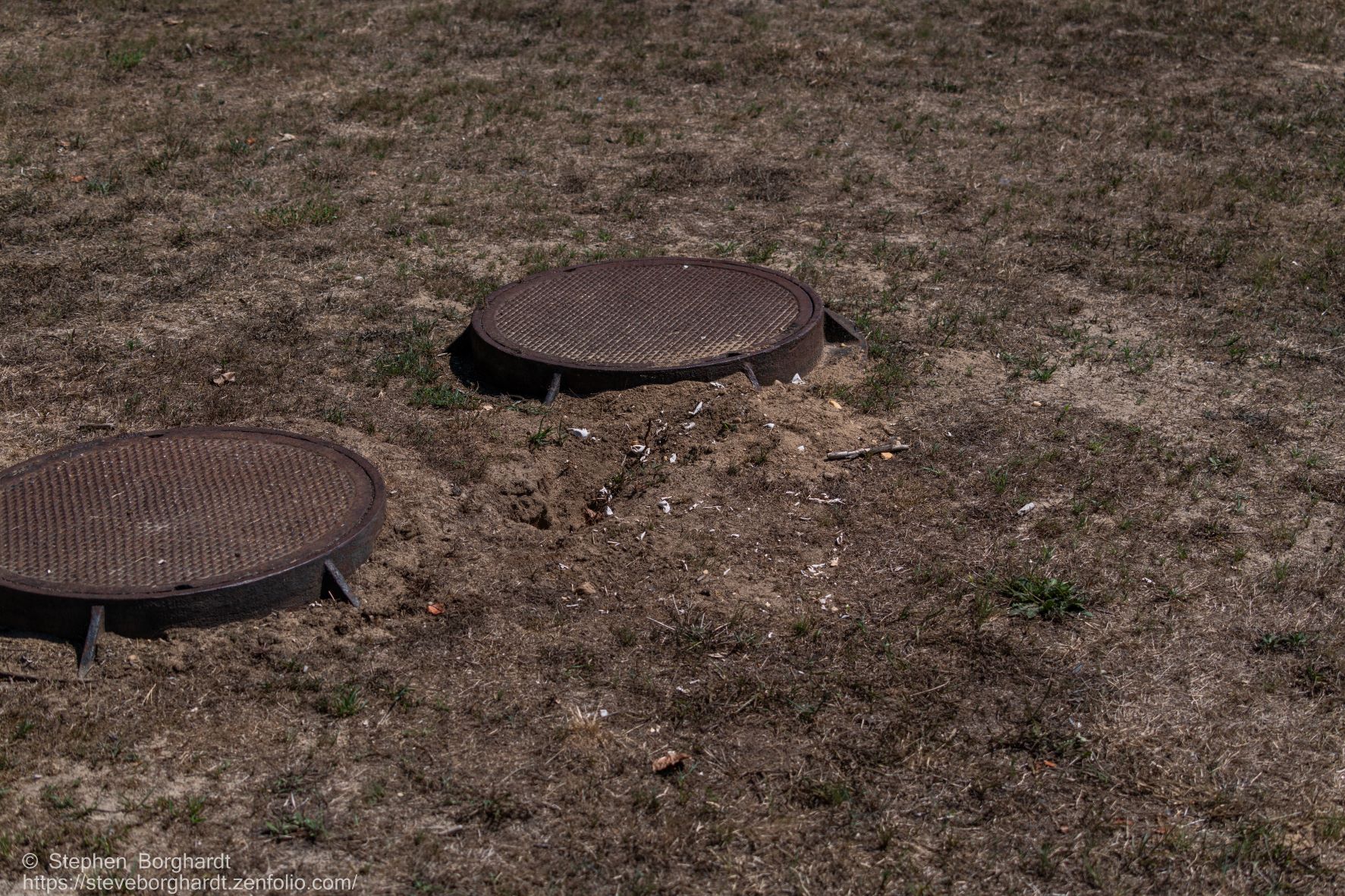 Saving Turtles: Protecting The Nests – The Long Island Conservancy