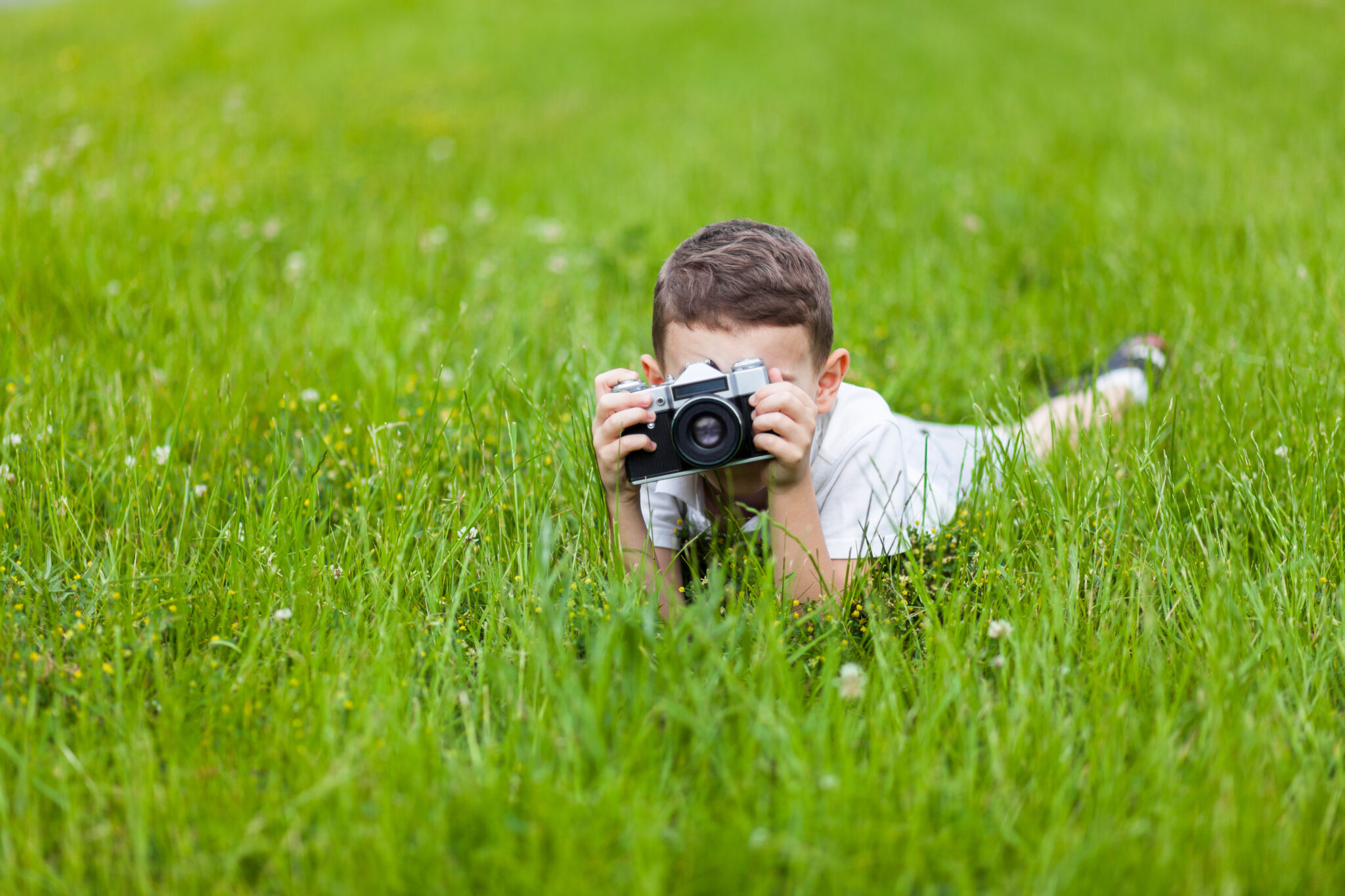 Time To Plant Some Little Green Shoots! – The Long Island Conservancy