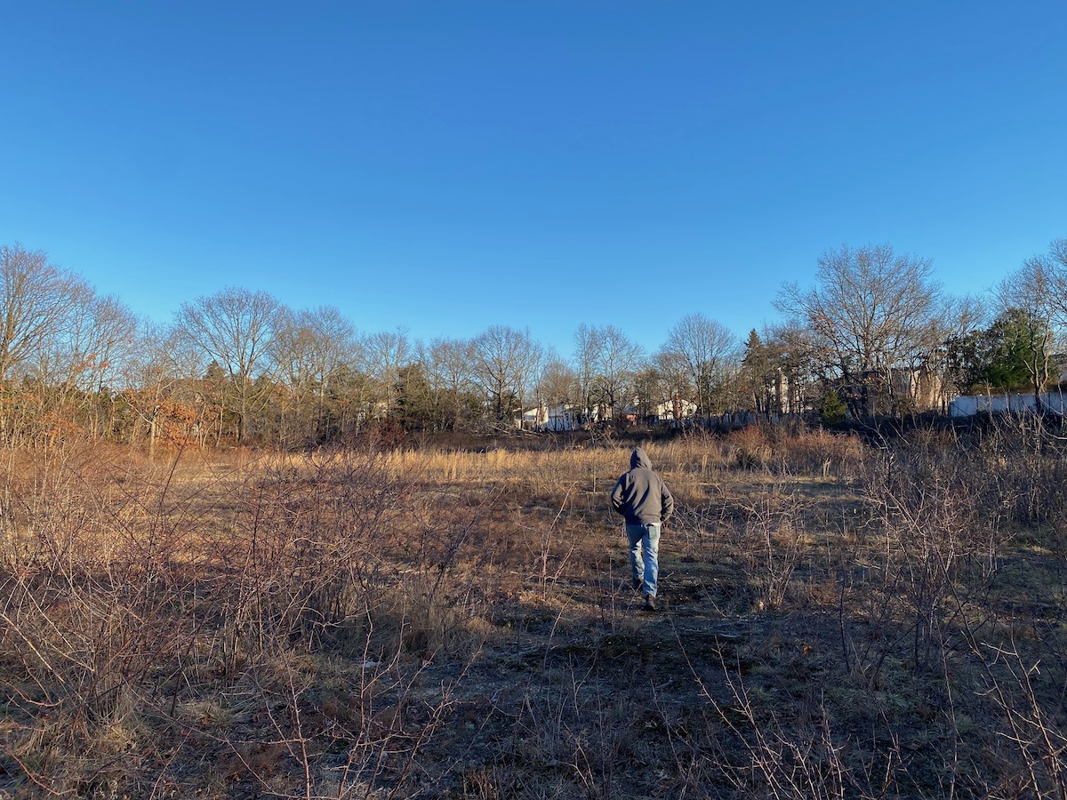 Sumps Must Become Native Habitat – The Long Island Conservancy
