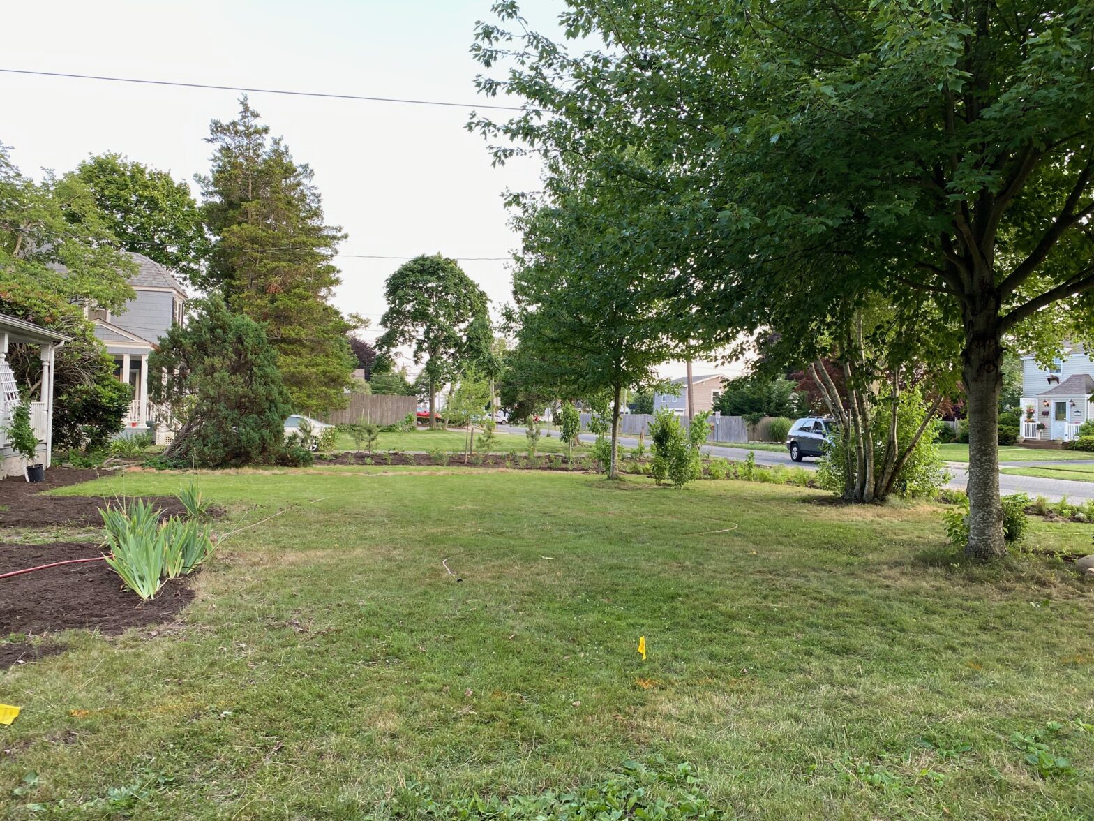 The Native Yard After 3 1/2 Years - The Long Island Conservancy